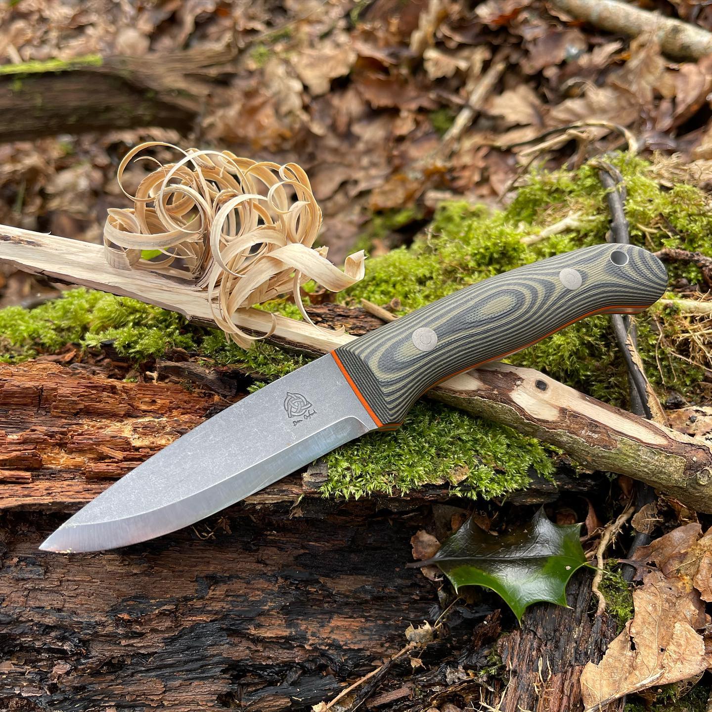 Available Now – Ben & Lois Orford